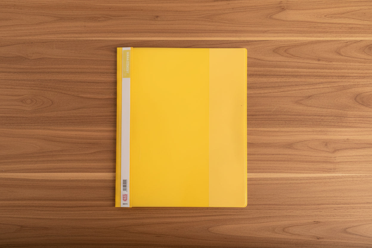 LION FILE Management and Presentation File - Assorted Colours