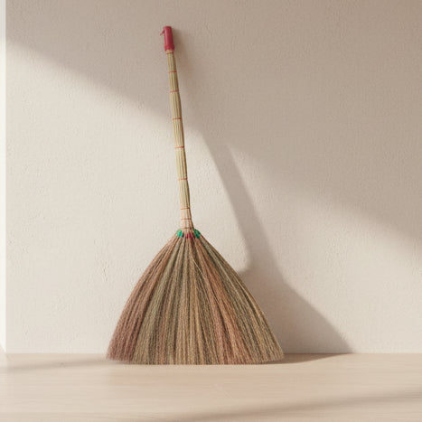 Paddy Broom